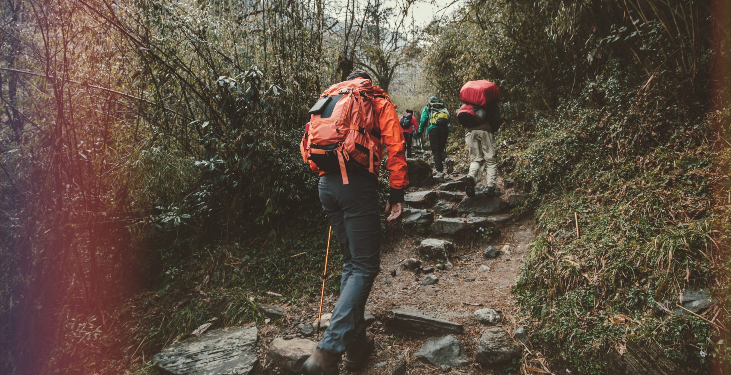 New B2B Agency Support Model - Contentology